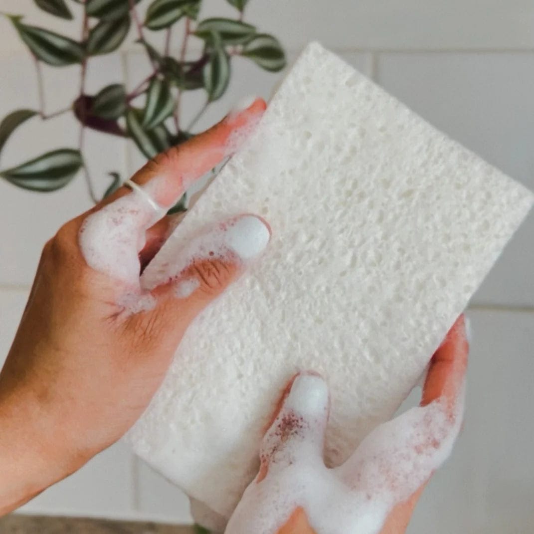 Eco Pop-Up Sponges – 2 Pack - Seep – Faerly