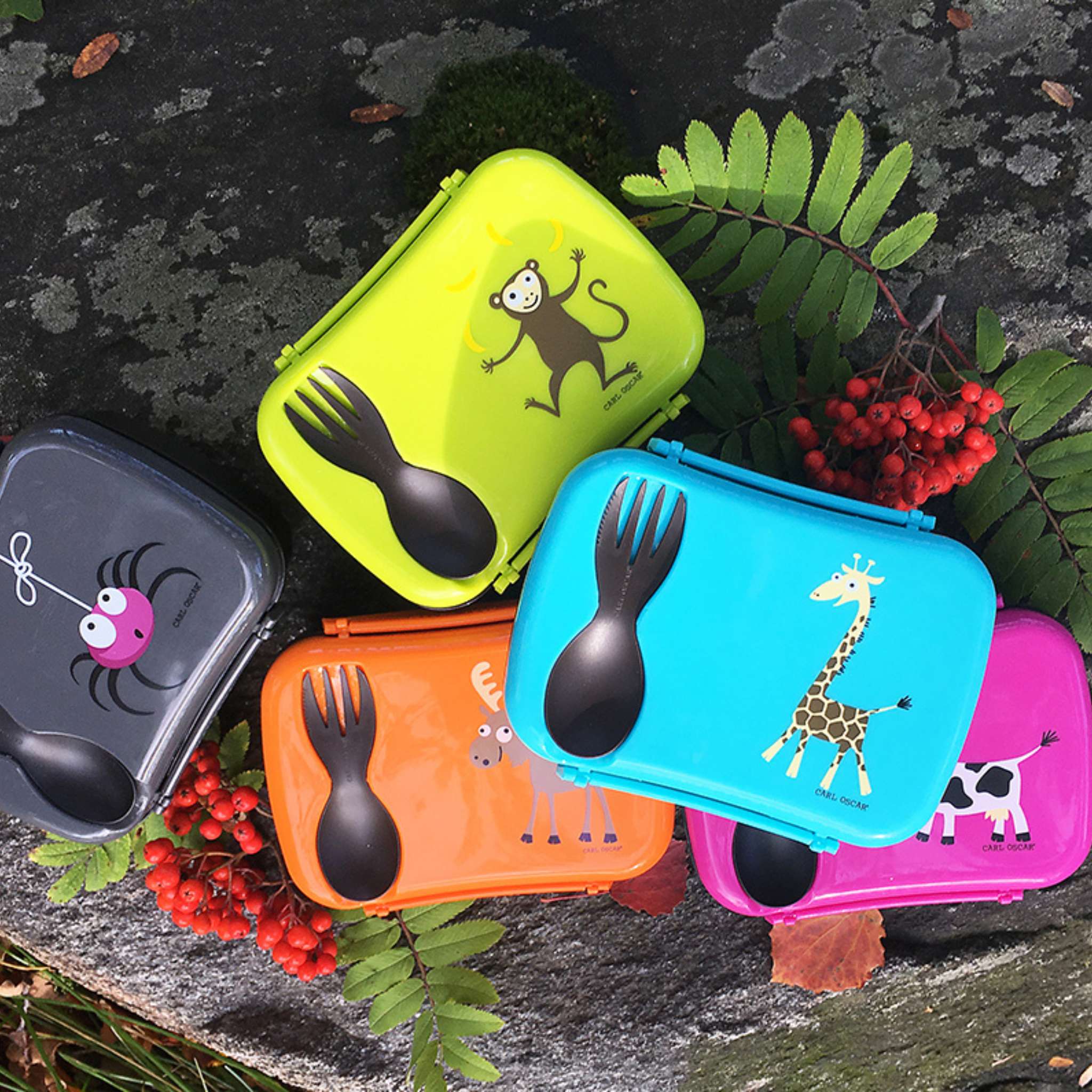 Lunch Boxes – Faerly