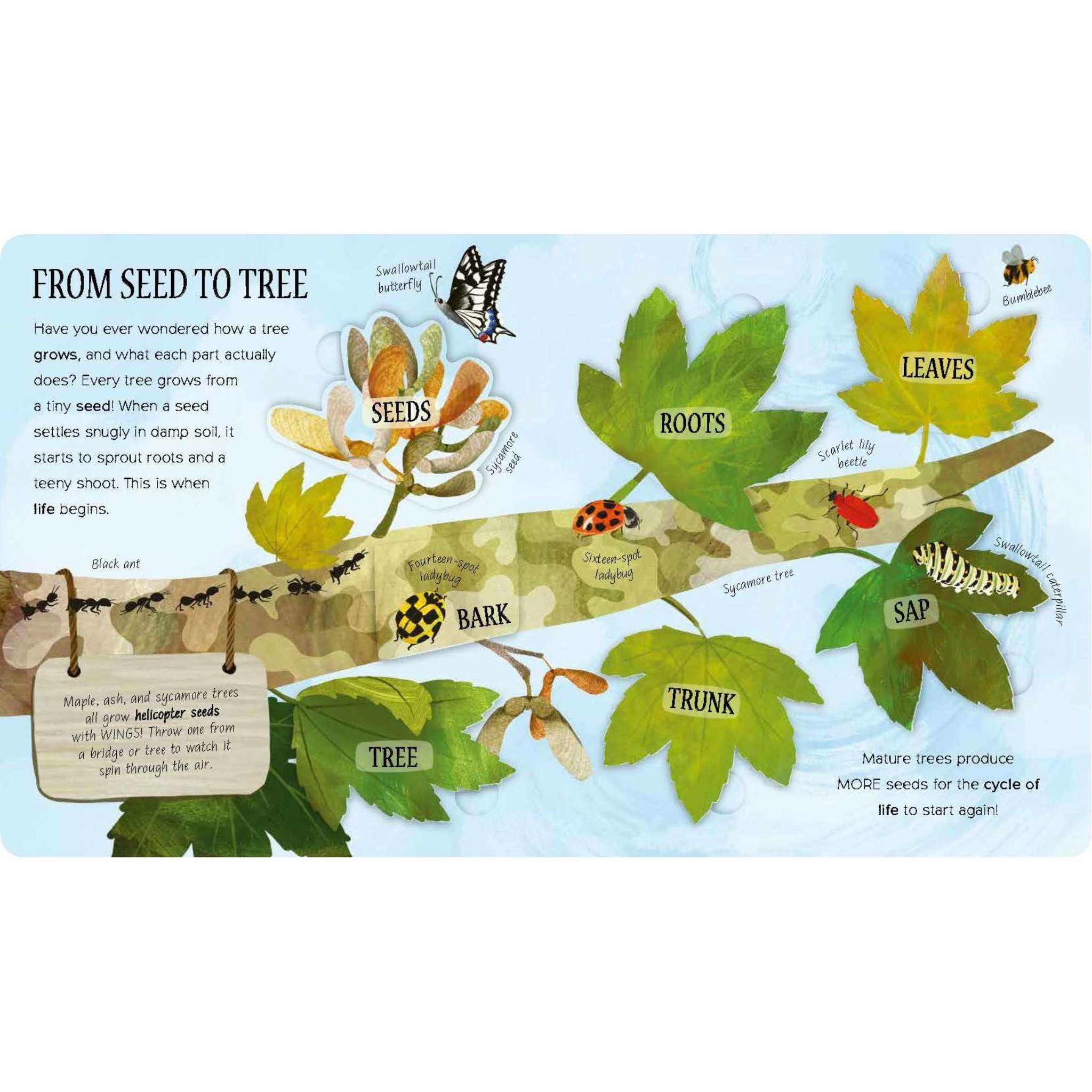 Little Tree and the Wood Wide Web – Faerly