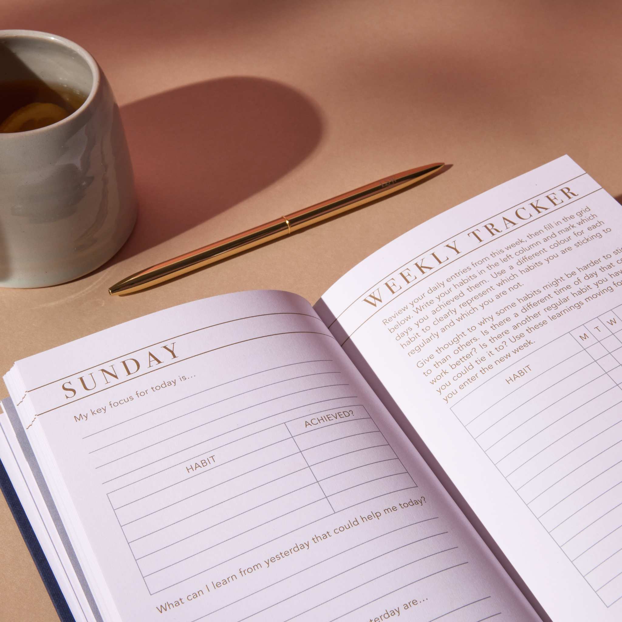 LSW Habit Notes - Undated Daily Habit Tracking Journal – Faerly