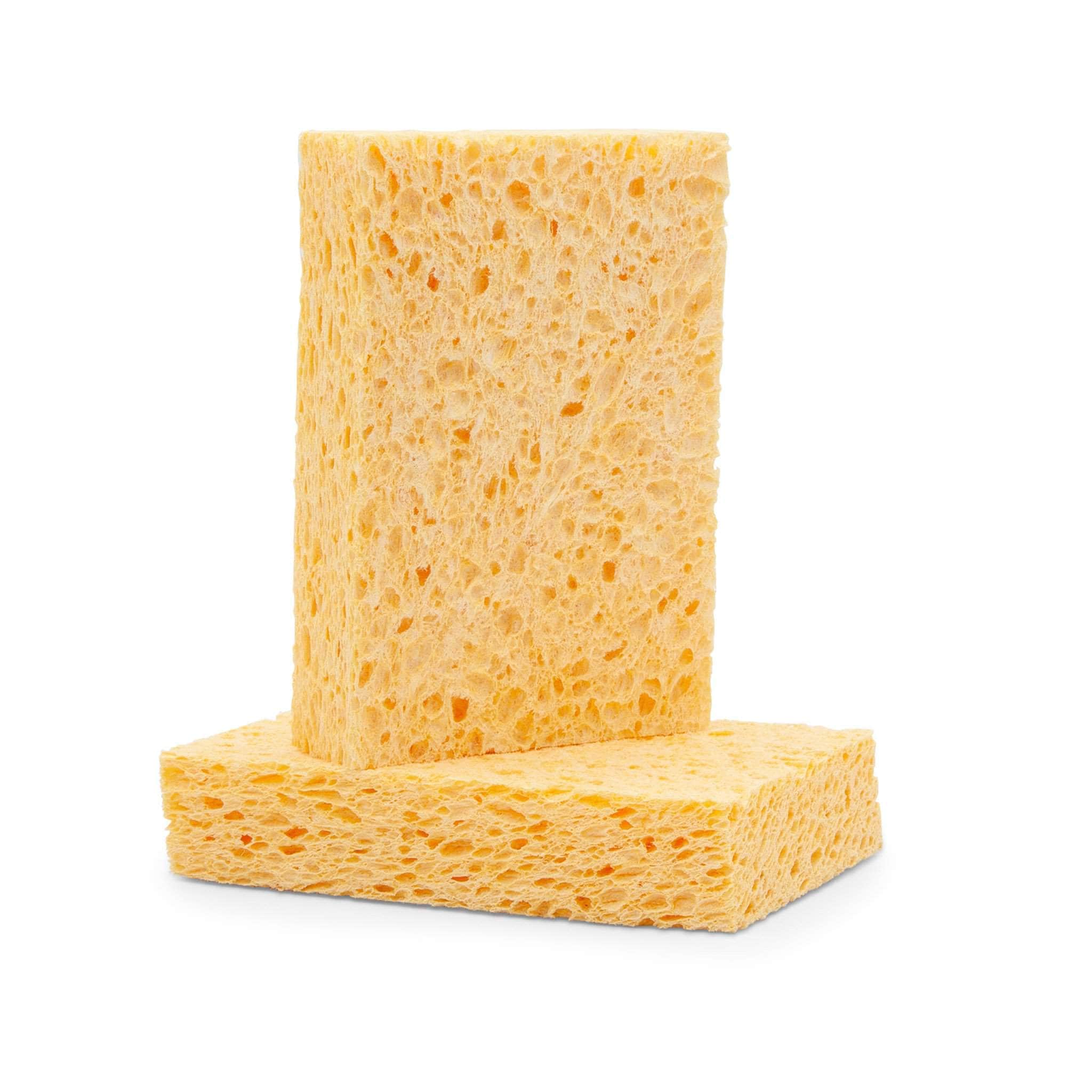 Large Compostable Sponge - Twin Pack – Faerly