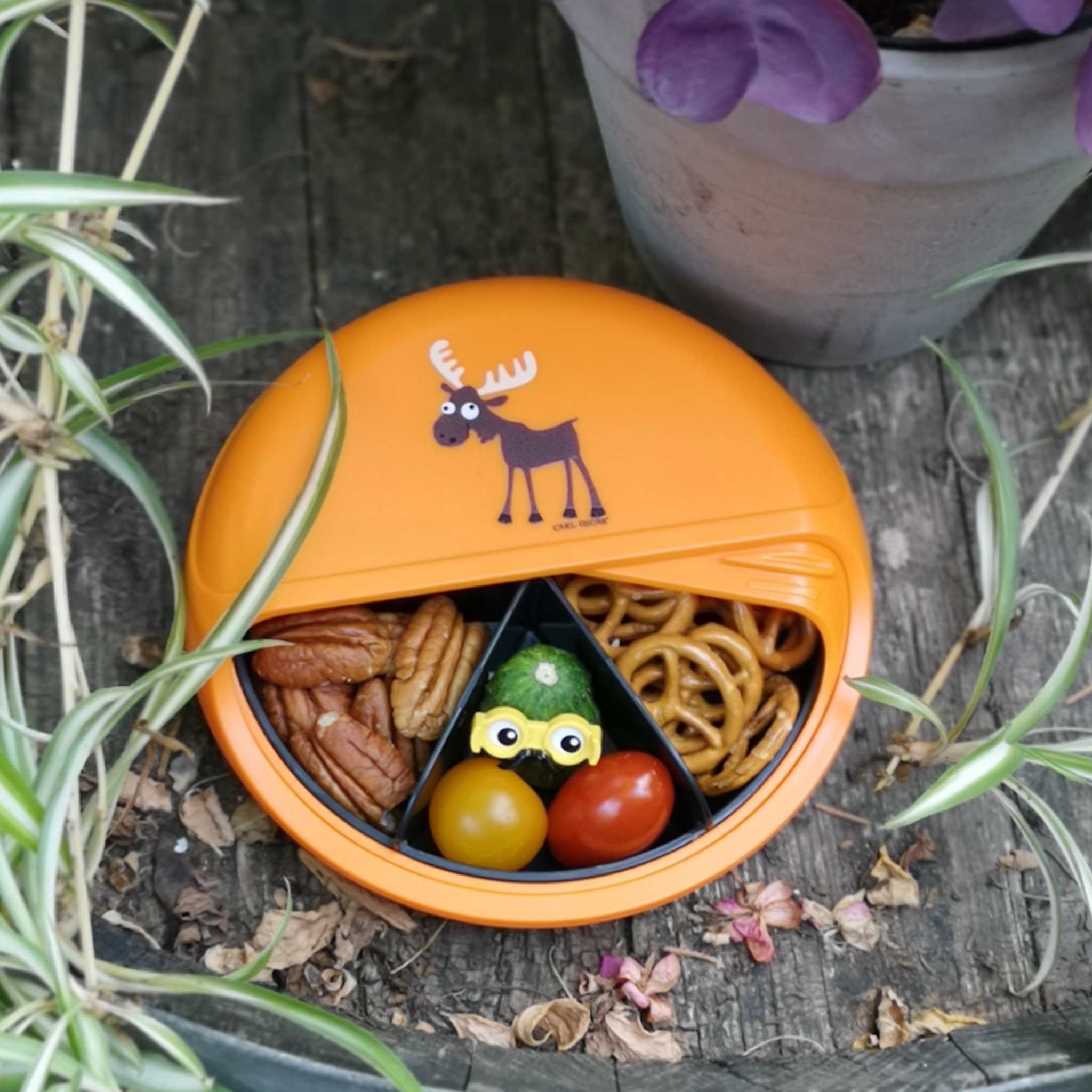 SnackDISC Children's Spinning Snack Box – Faerly